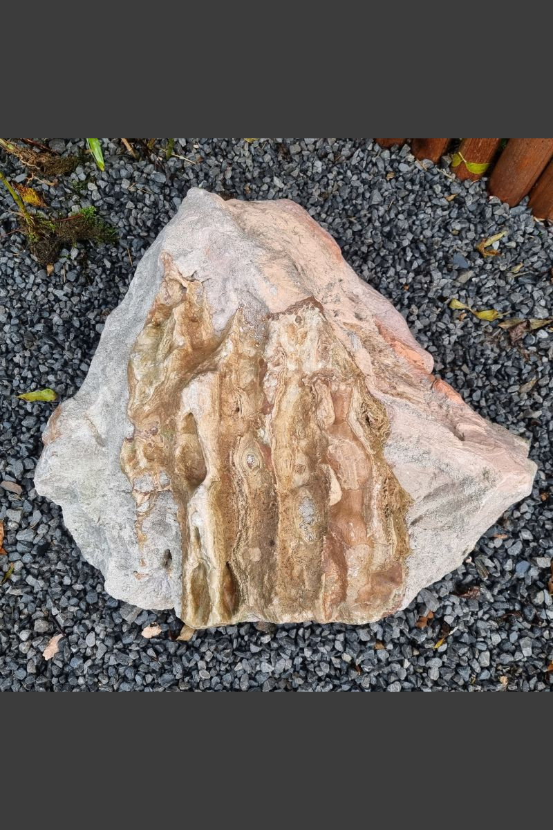 Monoliet versteend Hout 80cm - Monolithique