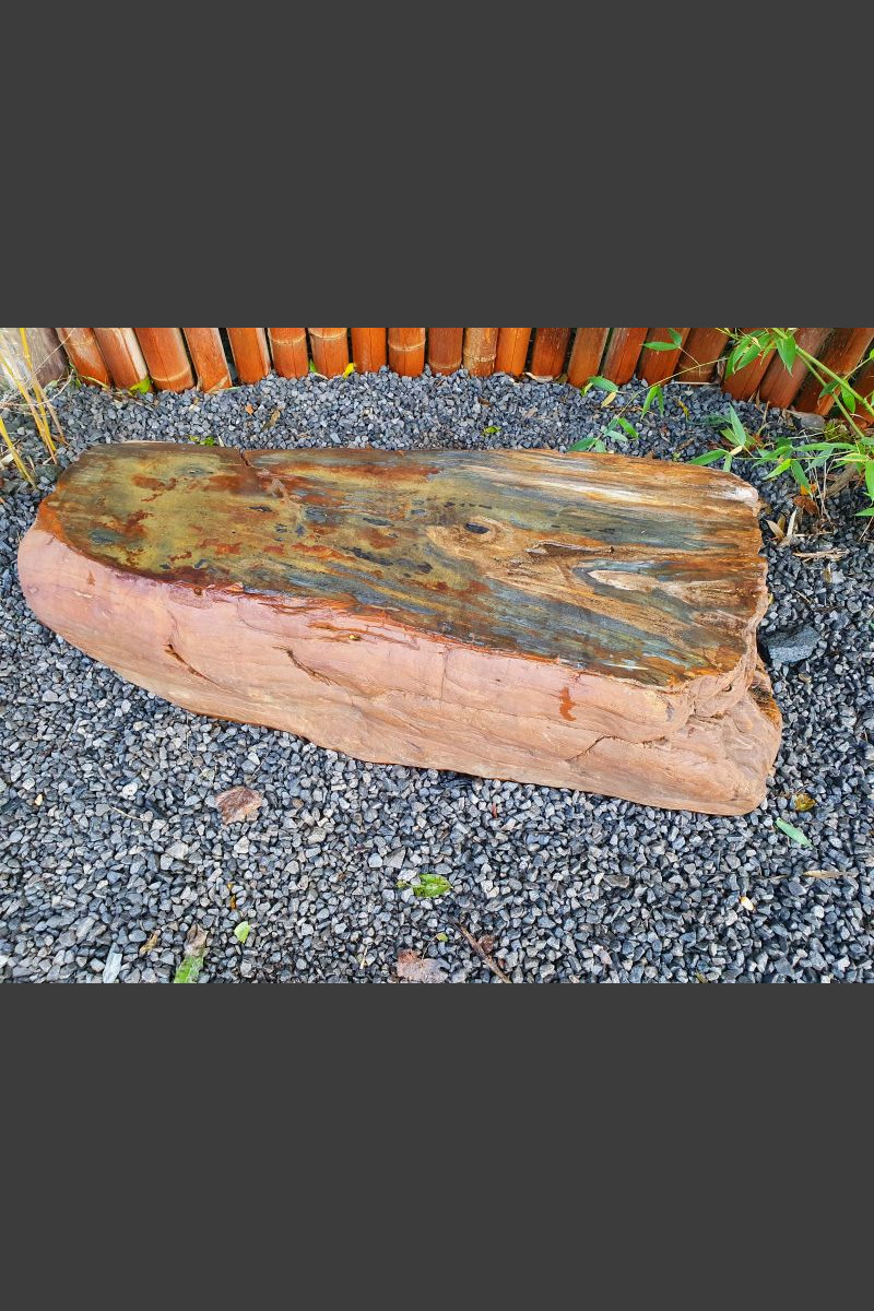 Monoliet versteend Hout 80cm - Monolithique