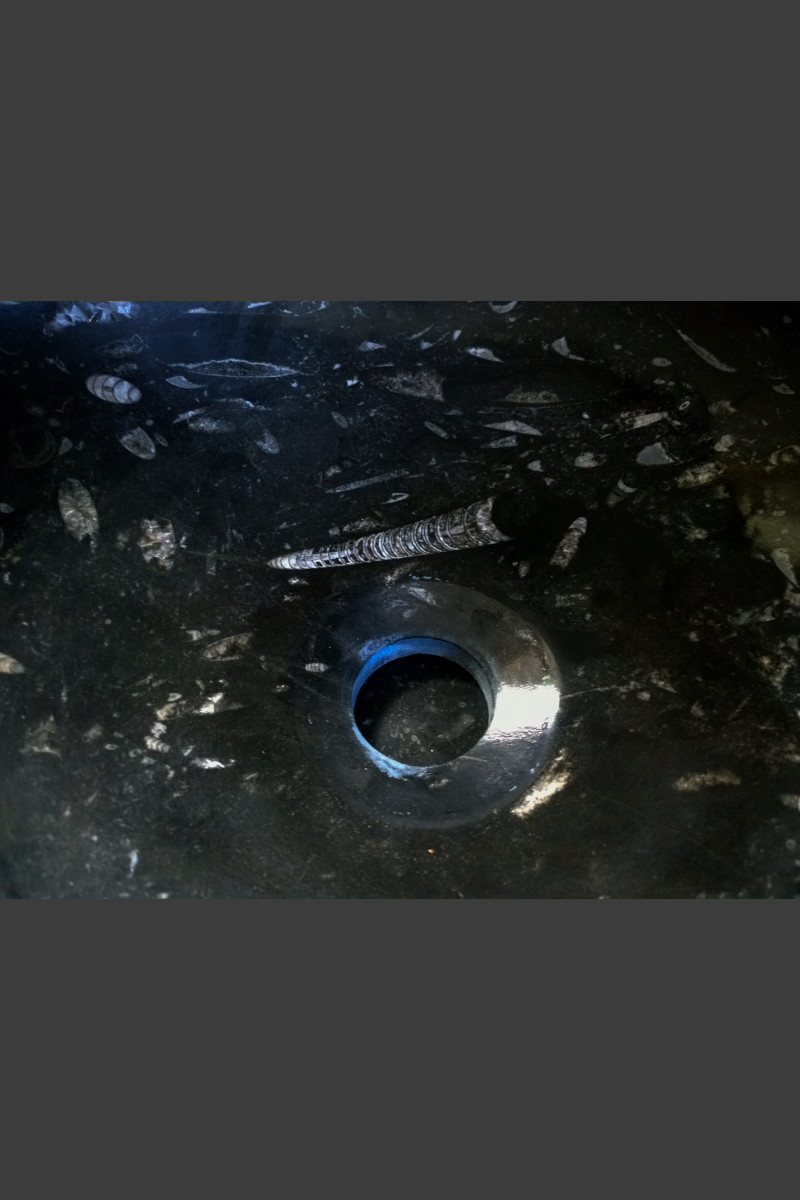 Nero Fossile Waskom met Orthoceras - Gootstenen - Wooninrichting - Monolithique