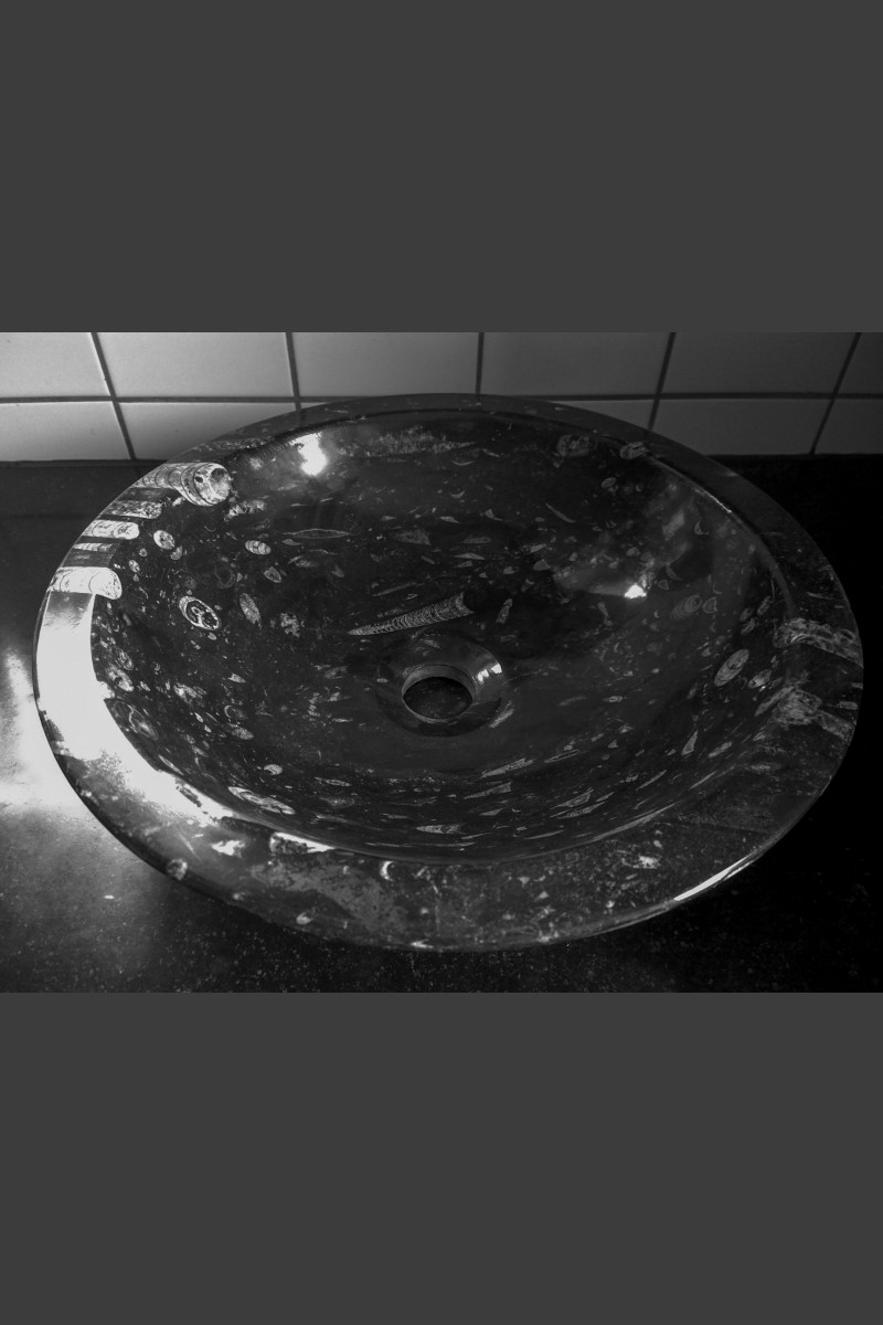 Nero Fossile Waskom met Orthoceras - Gootstenen - Wooninrichting - Monolithique